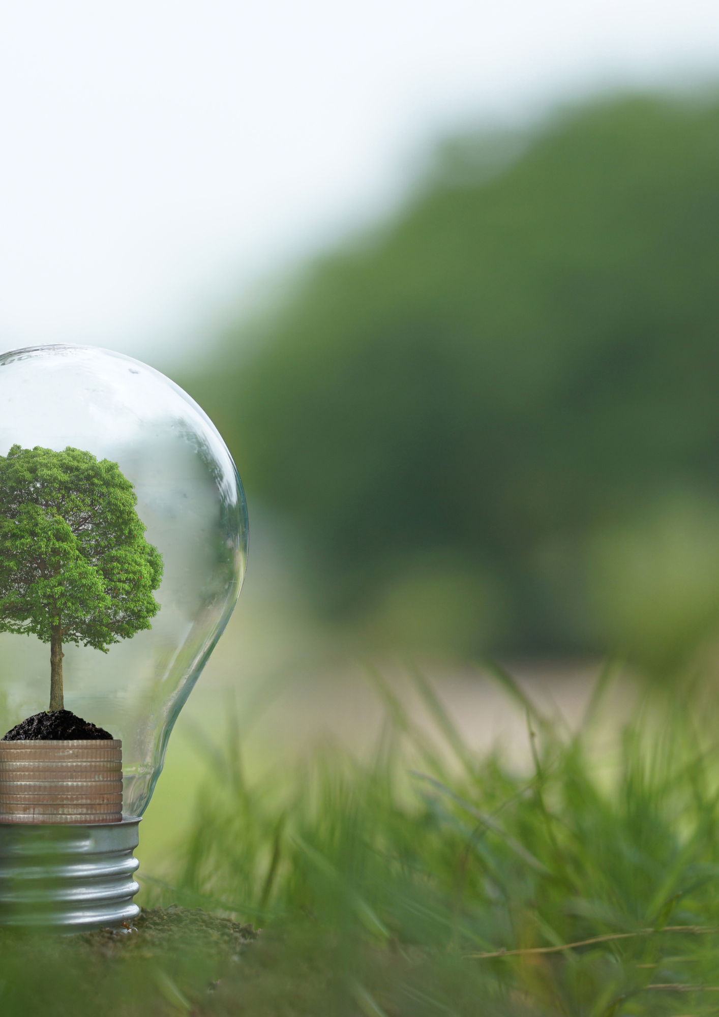 IREDA Launches GIFT City Office to Accelerate Green Energy Projects - ADI